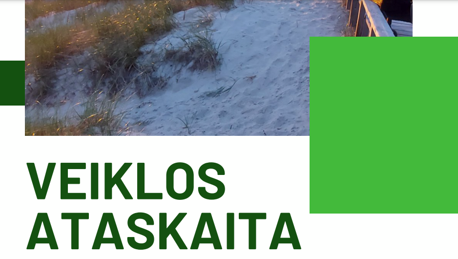 2022 m. veiklos ataskaita - Lietuvos žmonių su negalia sąjunga